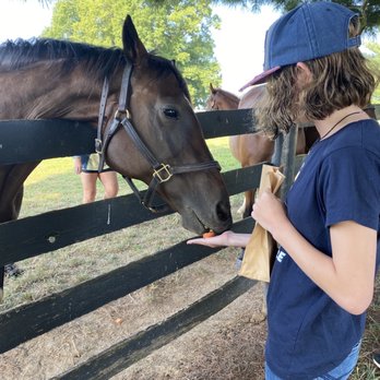 MILL RIDGE FARM - Updated October 2025 - 73 Photos & 16 Reviews - 2800 ...