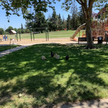 EMMA PRUSCH FARM PARK - Updated December 2024 - 923 Photos & 269 ...