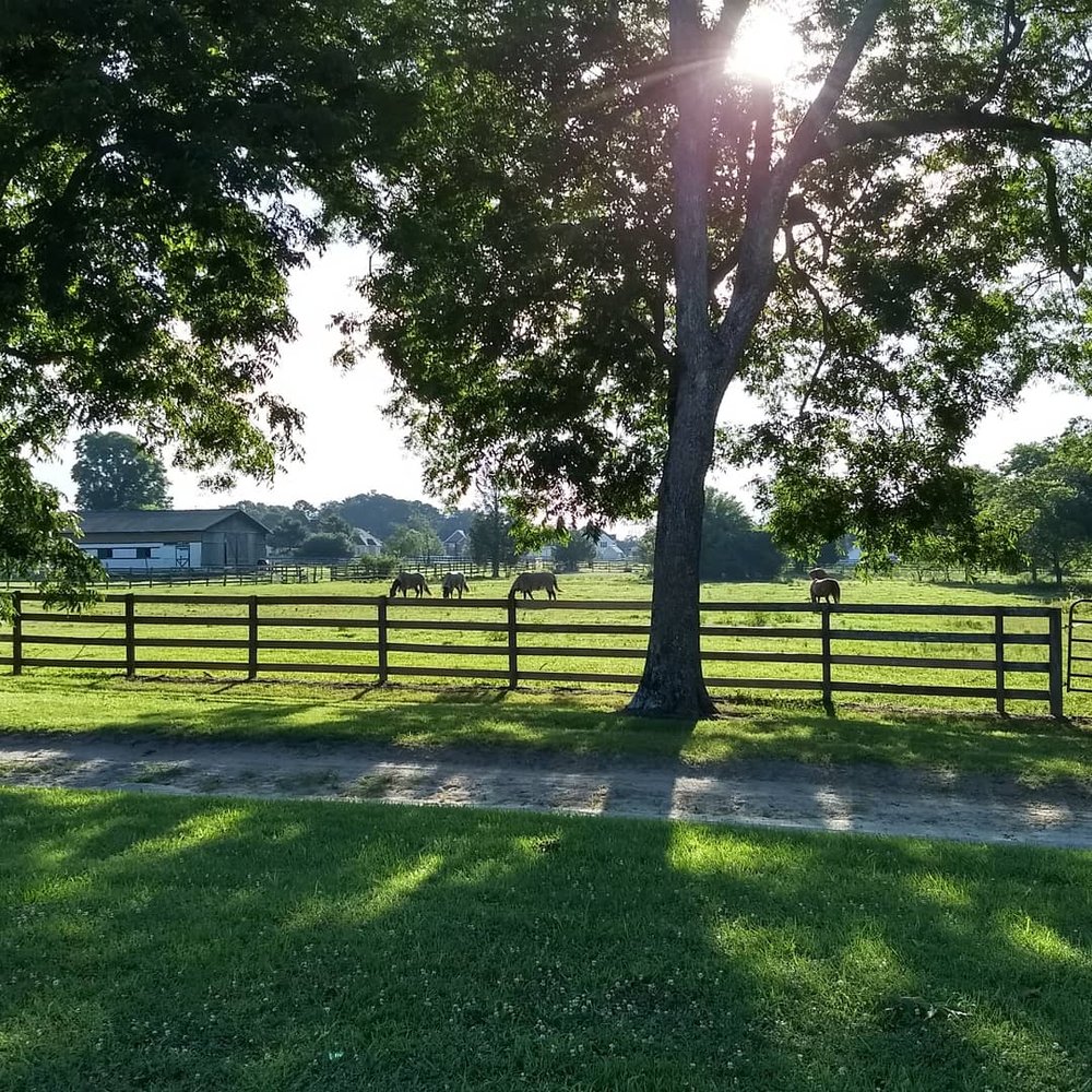 INDIAN POINT FARM - Updated October 2025 - 821 Kings Fork Rd, Suffolk ...