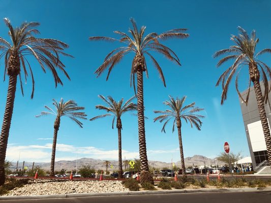 AMAZON FULFILLMENT CENTER TOURS - Updated April 2025 - 15 Photos - 6001 ...
