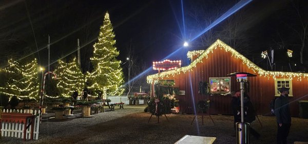 FAIRVIEW TREE FARM - Updated December 2025 - 39 Photos & 20 Reviews - 2 ...