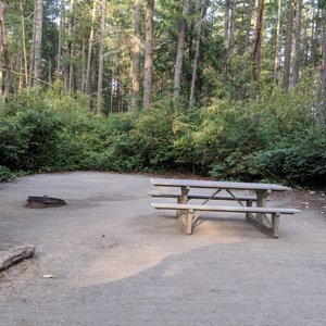 SCENIC BEACH STATE PARK - 72 Photos & 28 Reviews - 9565 Scenic Beach Rd ...