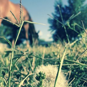 TRAK - THERAPEUTIC RANCH FOR ANIMALS AND KIDS - Updated October 2025 ...