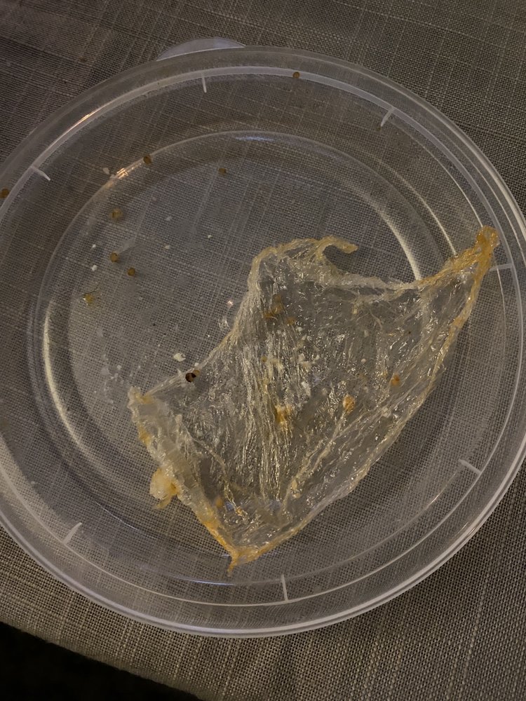 CREATE - Updated March 2025 - 130 Photos & 305 Reviews - 36-03 30th Ave ...