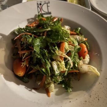 BICE RISTORANTE ORLANDO - Updated May 2025 - 251 Photos & 208 Reviews ...