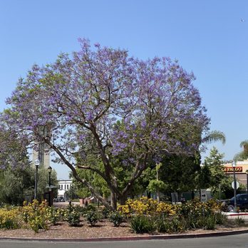 OVITT FAMILY COMMUNITY LIBRARY - Updated December 2025 - 60 Photos & 56 ...