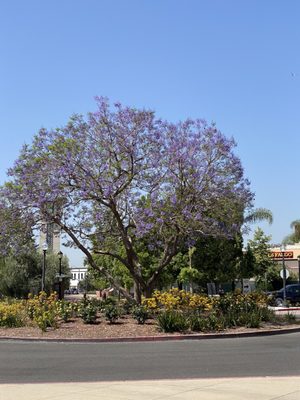 OVITT FAMILY COMMUNITY LIBRARY - Updated December 2025 - 60 Photos & 56 ...