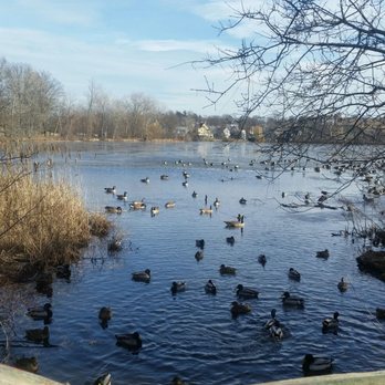 ELL POND PARK - Updated October 2025 - 24 Photos - Main St & Lebanon St ...