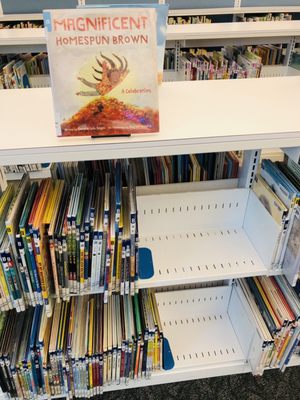 OCEANFRONT AREA LIBRARY - Updated December 2025 - 122 Photos & 11 ...