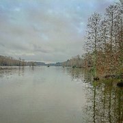 STUMPY LAKE NATURAL AREA - 233 Photos & 16 Reviews - 4794 Indian River ...