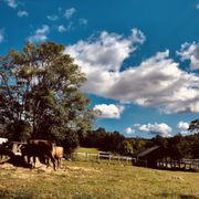 MUSCOOT FARM - 143 Photos & 37 Reviews - Farmers Market - 51 Rt 100 ...
