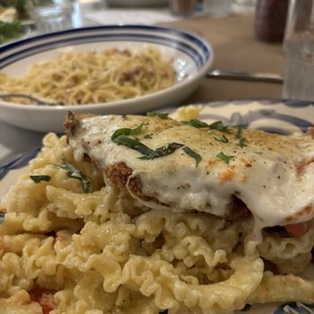 SCADDABUSH - Updated January 2026 - 40 Photos & 24 Reviews - 75 ...