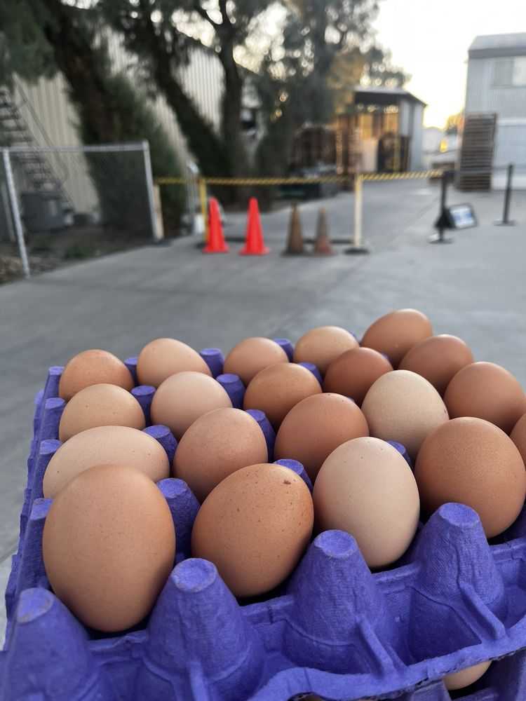 GOLDEN FRESH EGG RANCH - Updated October 2025 - 58 Photos & 81 Reviews ...