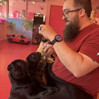 CUPPA PUG - Updated April 2025 - 154 Photos & 54 Reviews - 607 W 9th ...