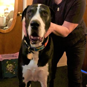 SAKURA REFLEXOLOGY SPA - 19 Photos & 10 Reviews - Massage - 314 County ...