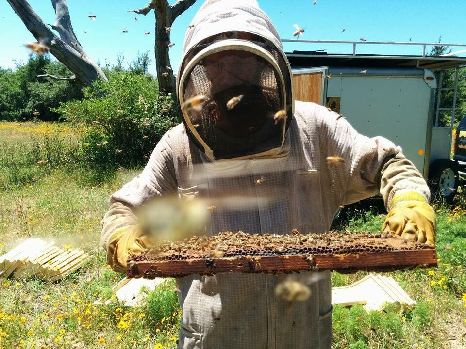 BEHLEN BEES - Updated July 2025 - Columbus, Texas - Honey - Phone ...