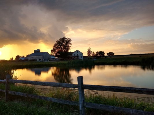 VERDANT VIEW FARM - Updated August 2024 - 113 Photos & 40 Reviews - 429 ...