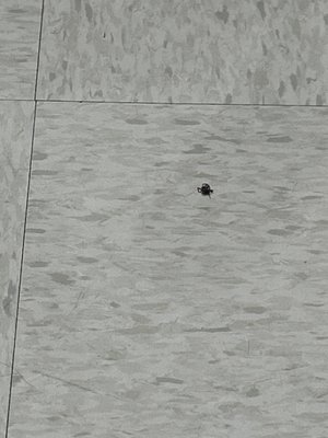 CONCENTRA URGENT CARE - Updated October 2025 - 15 Photos & 120 Reviews ...