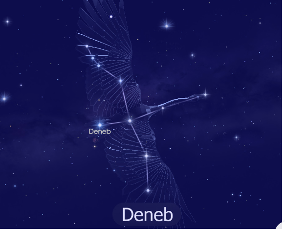 DENEB - 615 N Denver Ave, Loveland, Colorado - Metal Fabricators ...