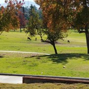 MARSHALL CANYON GOLF COURSE - 114 Photos & 61 Reviews - 6100 N Stephens ...