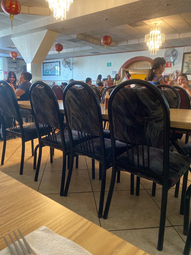 CAT CHEON - Updated July 2024 - 23 Photos - Av. de los Insurgentes 11 ...