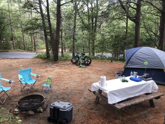 SHAWME-CROWELL STATE FOREST - Updated August 2024 - 31 Photos & 24 ...