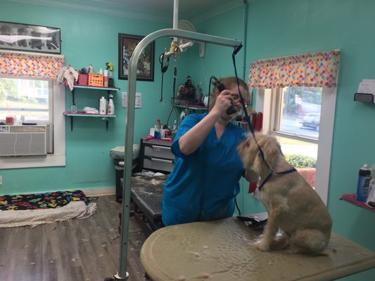 FURRY FRIENDS GENTLE PET GROOMING - 28 Photos & 24 Reviews - 8969 ...