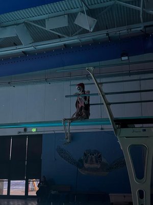 CARSON VALLEY SWIM CENTER - 91 Photos & 44 Reviews - 1600 NV 88, Minden ...