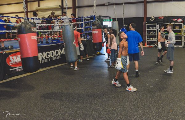 KINGDOM BOXING AND FITNESS - 14 Photos - 112 Constitution Dr, Warner ...