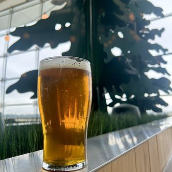 BREWTOP SOCIAL - Updated June 2025 - 234 Photos & 192 Reviews - 17801 ...