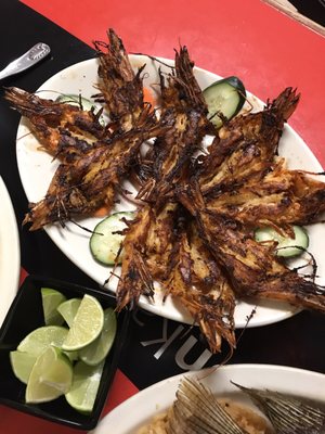 Don Kamaron - 2019 All You Need to Know BEFORE You Go (with Photos ...