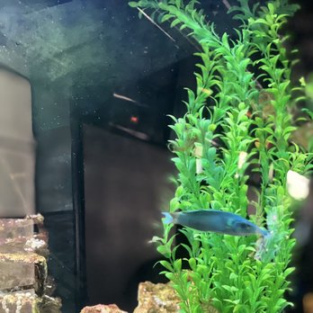 BLACKBEARD’S TRIPLE PLAY RESTAURANT AND BAR - Updated September 2025 ...