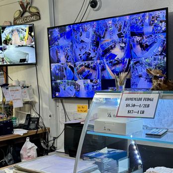 SILVER DOLPHIN - Updated June 2025 - 184 Photos & 162 Reviews - 4036 ...