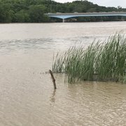 GRIGGS RESERVOIR PARK - 78 Photos & 26 Reviews - Columbus, Ohio - Parks ...