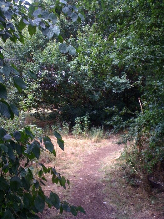 WEAVERS FIELDS - Updated October 2025 - Viaduct Street, London, United ...