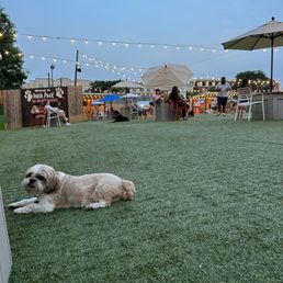 FETCH PARK - Updated July 2025 - 80 Photos & 19 Reviews - 309 Buckhead ...