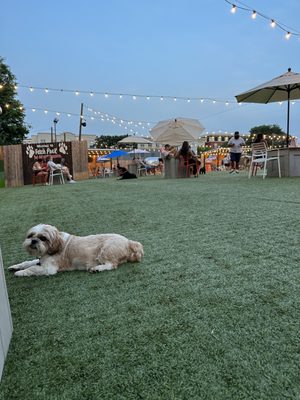 FETCH PARK - Updated December 2025 - 84 Photos & 23 Reviews - 309 ...