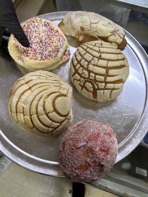 PANADERIA DE LAS AMERICAS - Updated August 2024 - 14 Photos & 15 ...