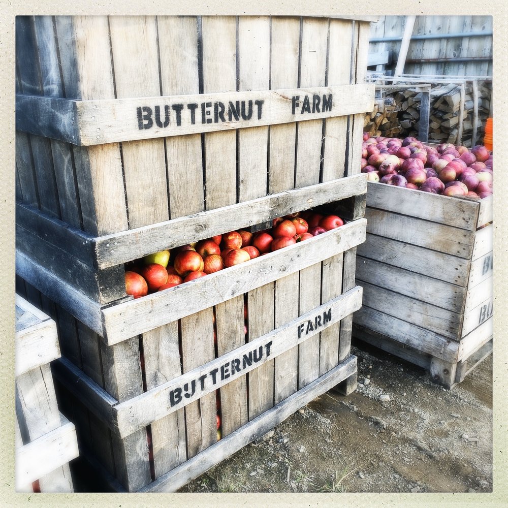 BUTTERNUT FARM - 34 Photos & 29 Reviews - 195 Meaderboro Rd, Farmington ...