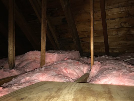 CATSEYE PEST CONTROL - Updated August 2025 - 26 Photos & 35 Reviews ...