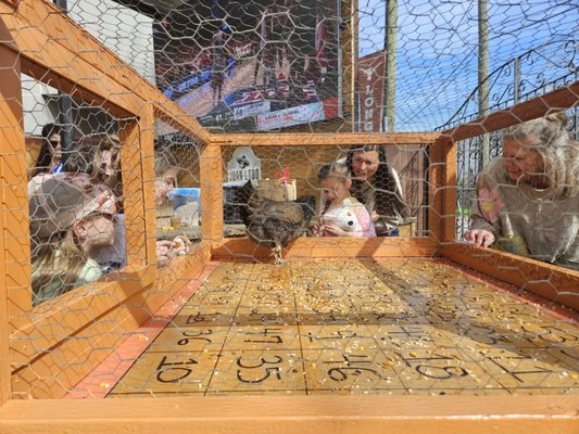 BACKPORCH SOCIAL - Updated January 2026 - 56 Photos & 28 Reviews - 309 ...