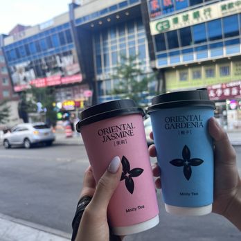 MOLLY TEA - Updated October 2025 - 578 Photos & 302 Reviews - 37-11 ...