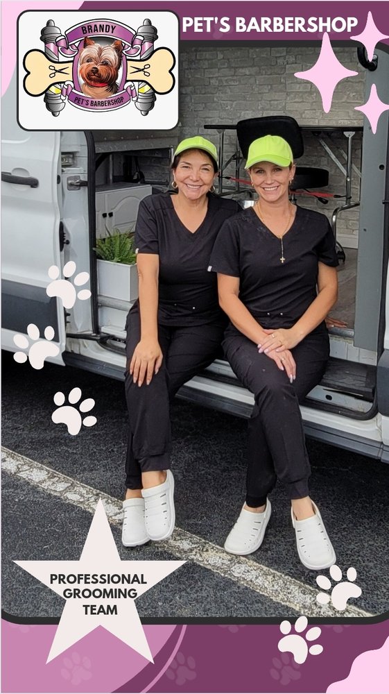 BRANDY PET’S BARBERSHOP - Updated July 2025 - Request an Appointment - 5926 Thomas St, Hollywood ...