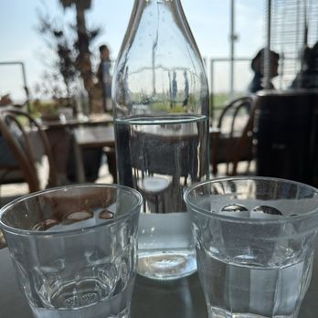 FIG TREE VENICE - Updated May 2024 - 971 Photos & 613 Reviews - 429 ...