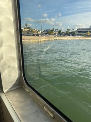 CATAÑO FERRY - 36 Photos & 27 Reviews - Cataño, Puerto Rico - Public ...