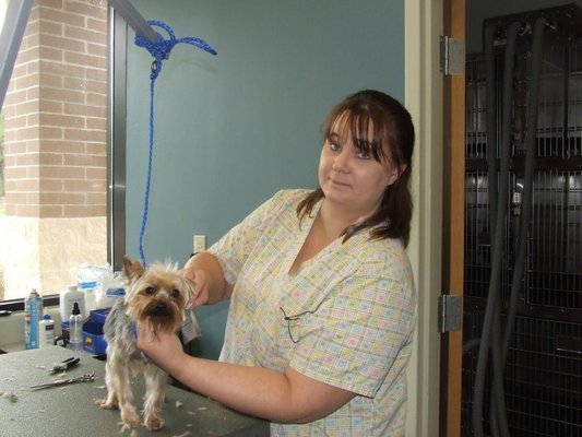 VCA SPRING ANIMAL HOSPITAL - Updated July 2025 - 28 Photos & 35 Reviews ...