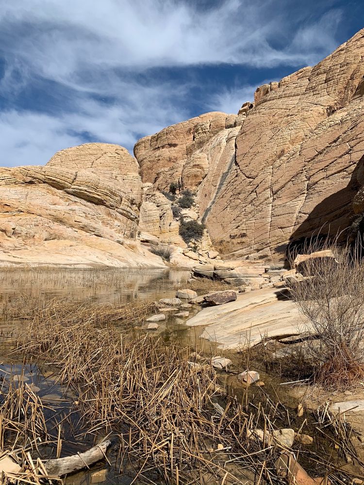 CALICO TANKS TRAIL - Updated August 2024 - 493 Photos & 79 Reviews ...