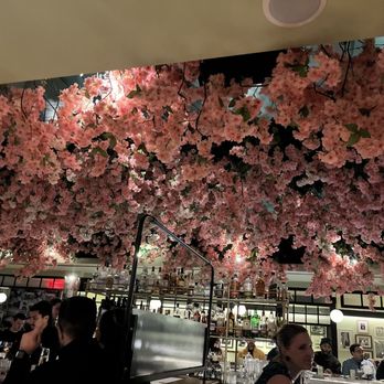 AMBAR SHAW - Updated May 2024 - 266 Photos & 91 Reviews - 1547 7th St ...