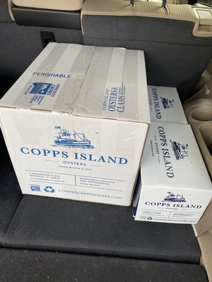 COPPS ISLAND OYSTERS - Updated October 2025 - 17 Photos - 7 Edgewater ...