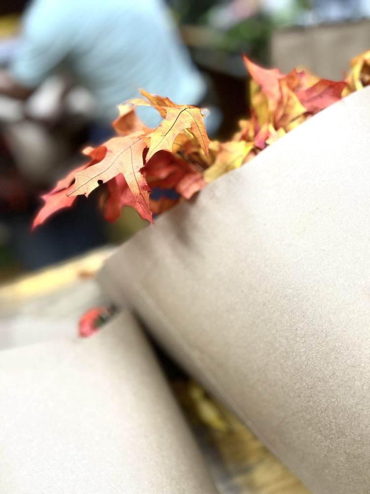 ALBORADA FLORIST - Updated November 2025 - 38 Photos & 46 Reviews ...